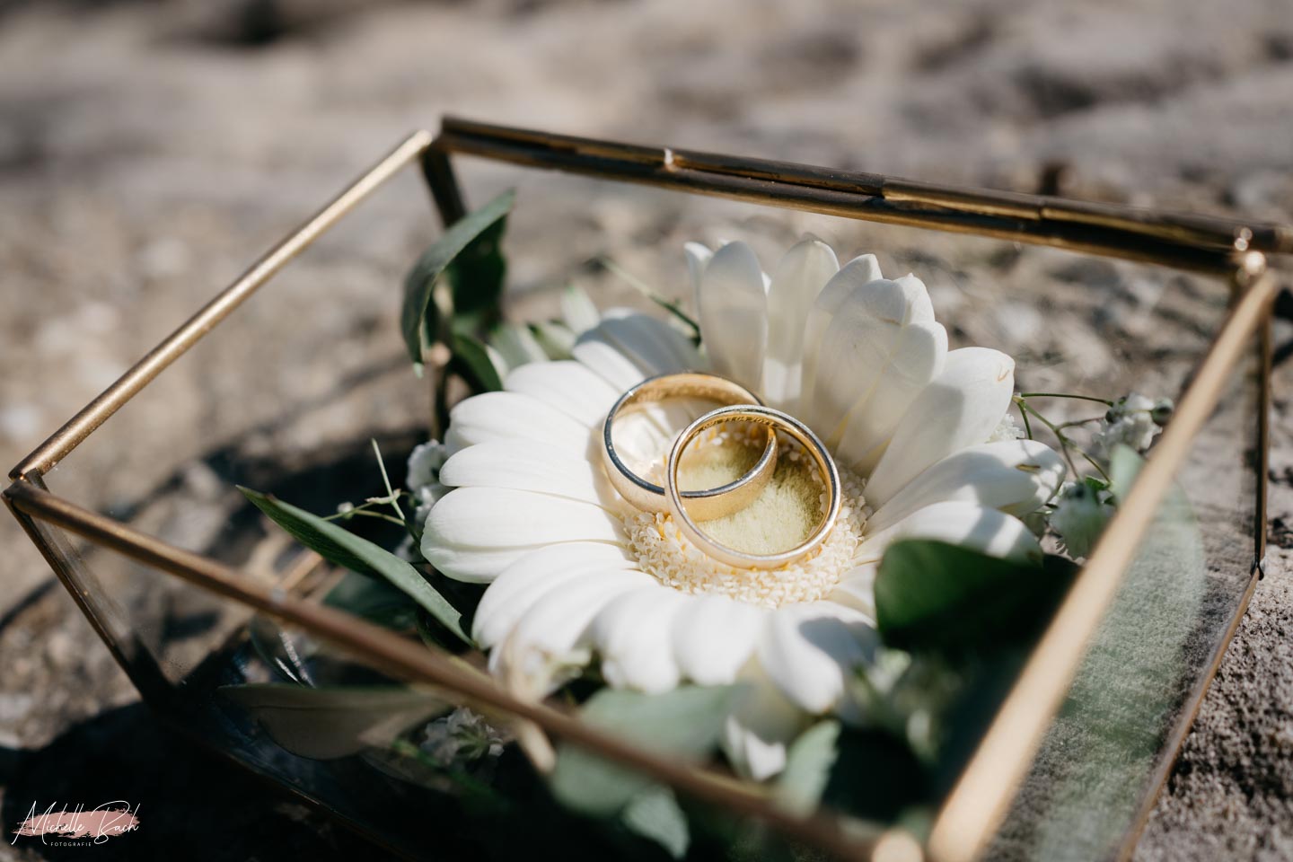 Michelle Bach - Eine Fotografin aus Offenburg für eure Glücksmomente